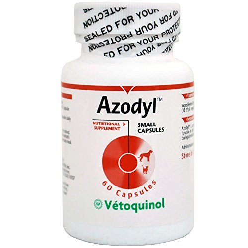 Azodyl (90 Capsules) by Azodyl : Amazon.com.mx: Salud y Cuidado Personal