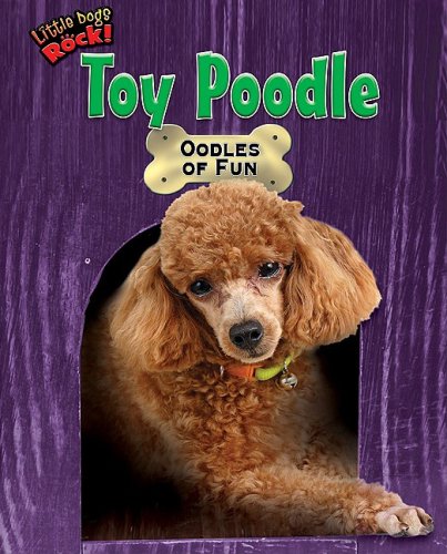 Toy Poodle: Oodles of Fun: Goldish, Meish: 9781597167468: Books - Amazon.ca