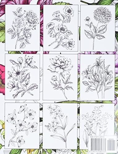 Snapklik.com : Bloom Adult Coloring Book: Beautiful Flower Garden ...