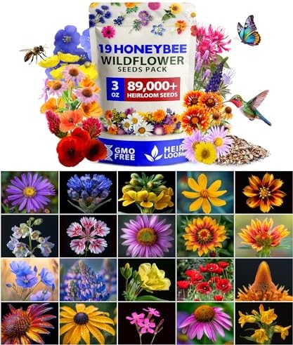 Amazon.com : HOME GROWN Wildflower Seeds (3oz) 89,000+ Flower Seed Mix ...