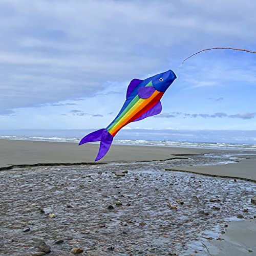 In the Breeze 48" Rainbow Trout Windsock : Amazon.in: Toys & Games