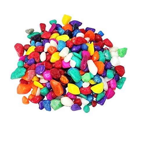 Decorative Multi Color Stones 475 Grams 9 : Amazon.in: Pet Supplies