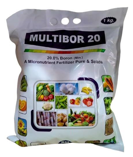 multibor 20 1 kg Pack of 2 : Amazon.in: Home & Kitchen