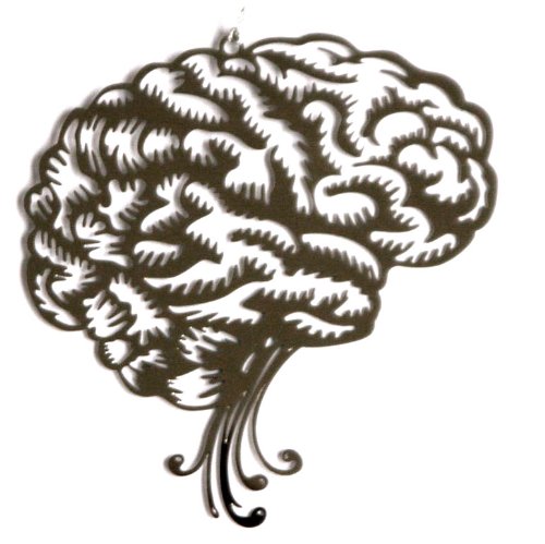 Amazon.com: Cut Out Brain Ornament : Home & Kitchen