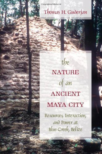 The Nature of an Ancient Maya City: Resources, Interaction, and Power ...
