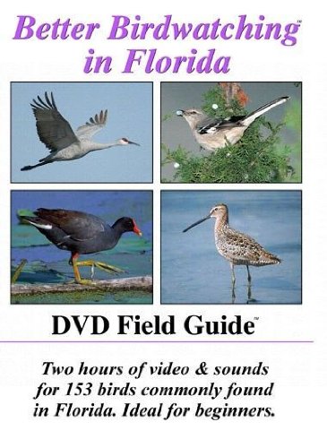 Amazon.com: Florida DVD : Automotive