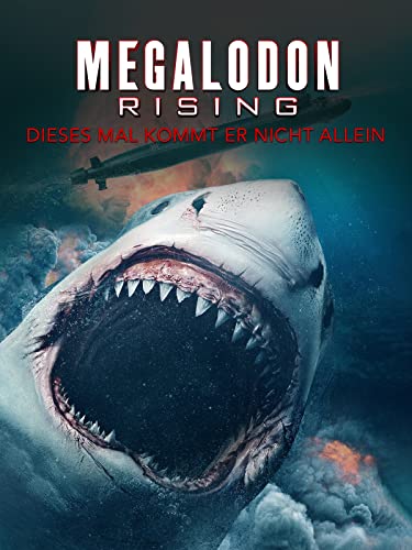 Die 16 besten Hai Filme - Boxspringbetten24