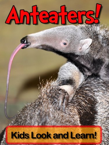 Amazon.com: Anteaters! Learn About Anteaters and Enjoy Colorful ...