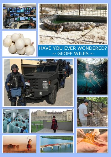 Amazon.com: HAVE YOU EVER WONDERED?: HAVE YOU EVER WONDERED? eBook ...