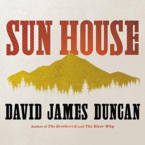 Amazon.com: Sun House: A Novel (Audible Audio Edition): David James ...