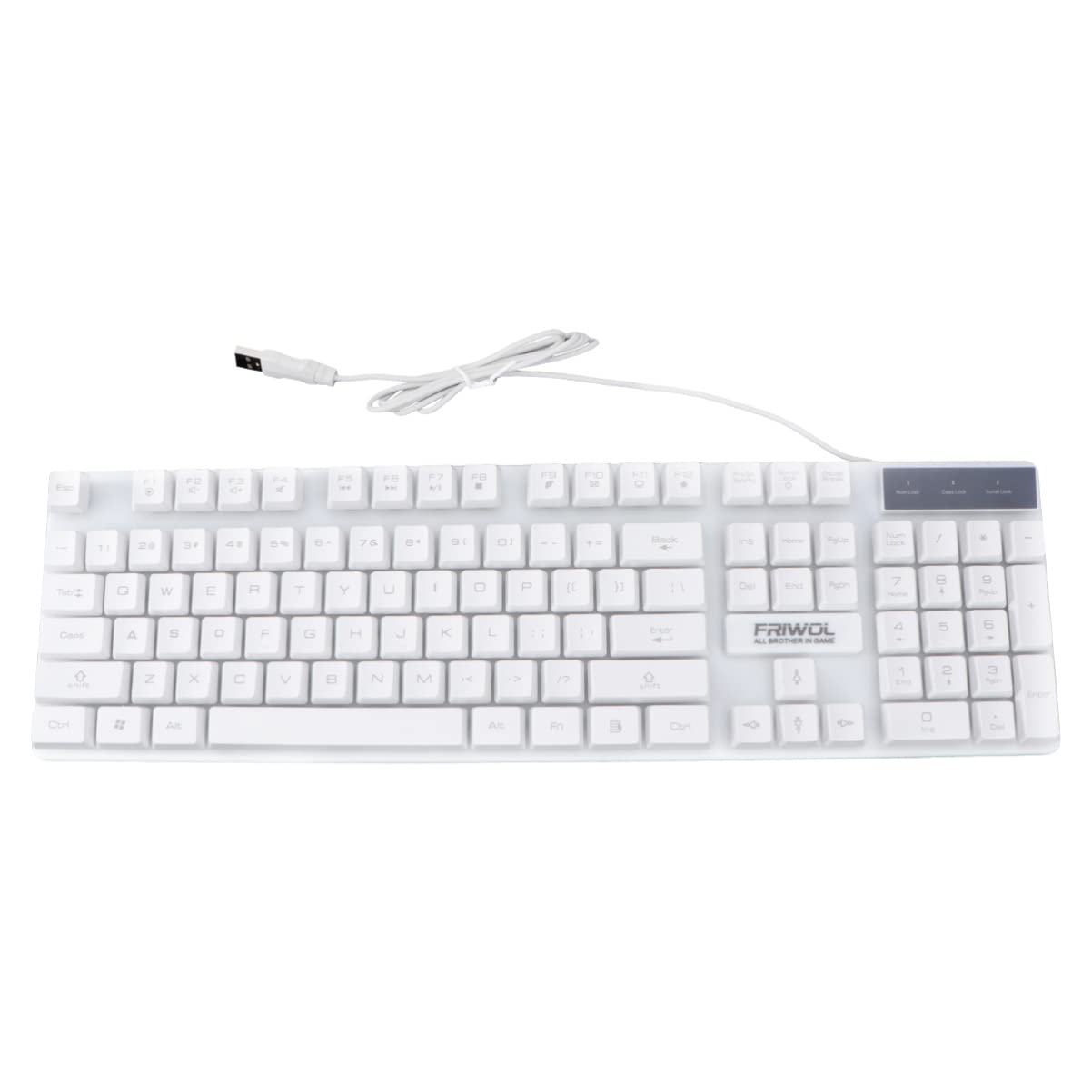 Mobestech 1 Pc Wired Keyboard Shrimp Skin Laptop Plastic Office White : Amazon.in: Computers ...
