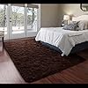 Amazon.com: HOMORE Brown Living Room Rug, 4x6 Feet Fluffy Area Rug ...