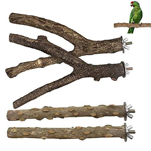PIES y PERCHAS para Loros 】 PALOS para loros Limauñas y Java
