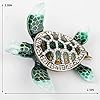 Amazon.com: Green Sea Turtle Trinket Box Hand Painted Hinged Trinket ...