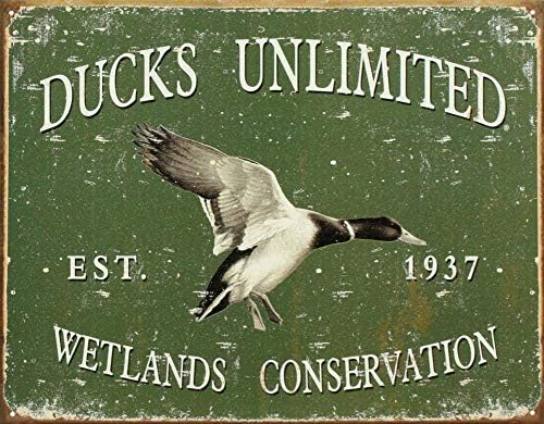 Amazon.com: Hunting Decorations for Boys Room Duck Hunting Dogs Lovers ...
