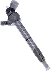 Amazon.com: 0445110369 Common Rail Injector，Compatible For VW Engine ...