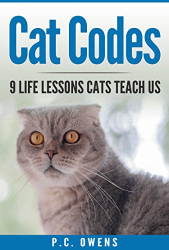 Cat Codes: 9 Life Lessons Cats Teach Us (Cats, Kittens, Pets, Pouncing ...