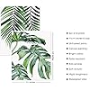 Amazon.com: HoozGee Botanical Wall Art Prints Set of 6 Tropical Leaves ...