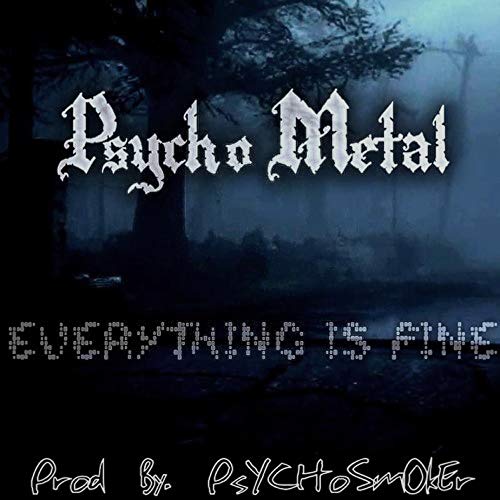 Amazon.com: Everything is Fine : Psycho Metal: Digital Music