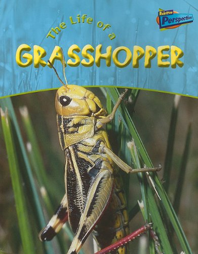Life of a Grasshopper (Life Cycles): Hibbert, Clare: 9781410909251 ...