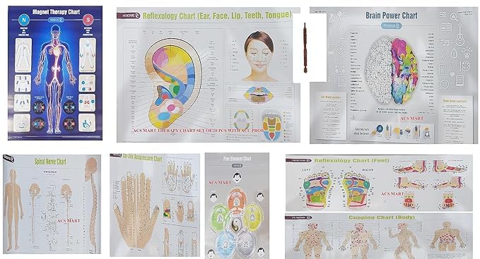 Acuworld Therapy Charts Set of 10 Acupressure Spinal Magnet Reflexology ...