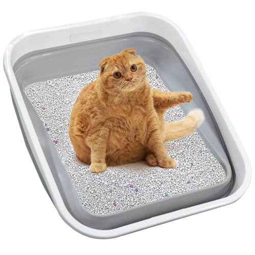10 Best CH Cat Litter Boxes Your Feline Friend Will Love! - Furry Folly