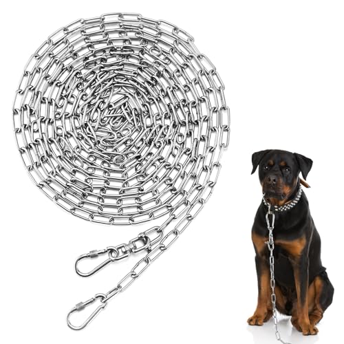 Dog Chains – The 15 best products compared - Wild Explained