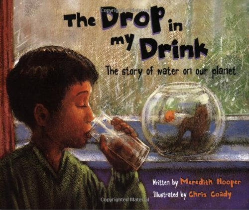 The Drop in My Drink: Meredith Hooper: 9781845078379: Amazon.com: Books