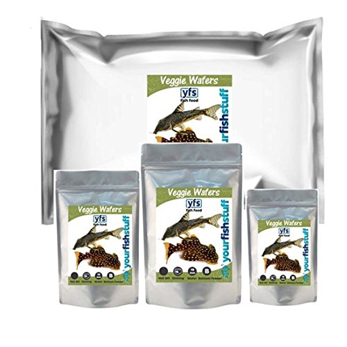 Snapklik.com : Spirulina Veggie Algae Wafers Pleco Catfish Tropical ...