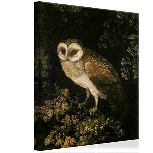 Amazon.com: An Owl by Moses Haughton the Elder Reproduction Still Life ...