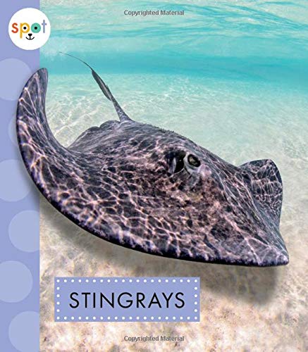 Stingrays : Buy Online at Best Price in KSA - Souq is now Amazon.sa: Schuh, Mari C: Books