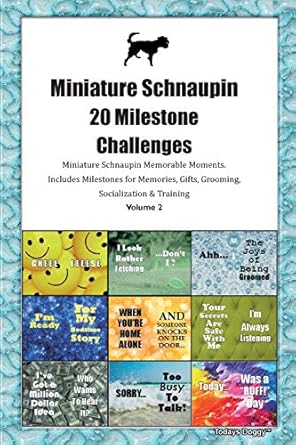 Buy Miniature Schnaupin 20 Milestone Challenges Miniature Schnaupin ...