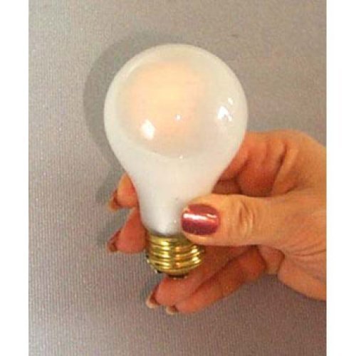 Amazon.com: Magic Light Bulb Tricks : Toys & Games