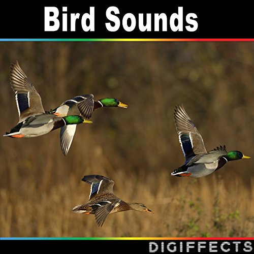 Amazon.com: Bird Sounds : Digiffects Sound Effects Library: Digital Music