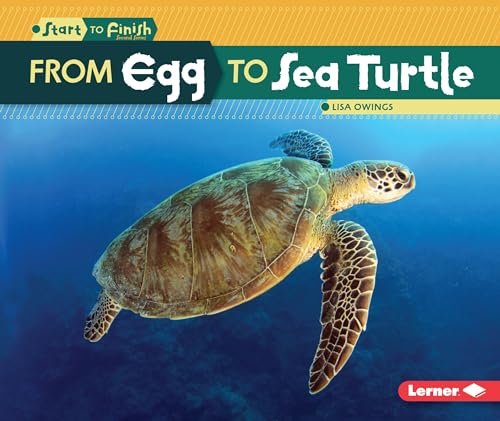The Best Sea Turtle Life Cycle Books for Kids to Read and Learn