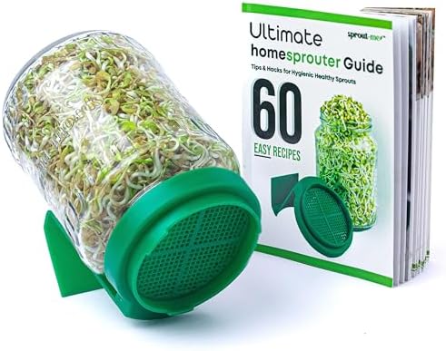 Buy Golden bird Sprout Glass Jar with Green Strainer Lid, Multi Use ...