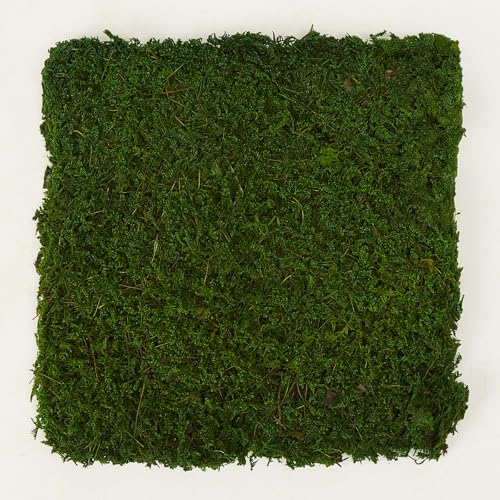 Snapklik.com : Bulk Wholesale Preserved Sheet Moss Sheet Moss Bun Moss ...