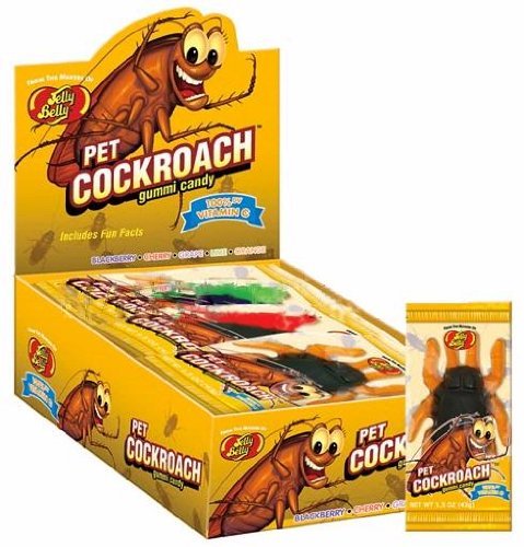 Amazon.com : Jelly Belly Gummi Pet - Cockroach - 1.5 oz. - 24 ct ...