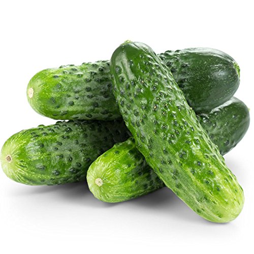 Nema Balcony Dwarf cucumber seeds - 30 Pcs : Amazon.in: Garden & Outdoors