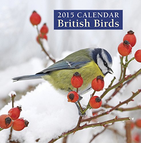 2015 Calendar British Birds: Amazon.co.uk: Peony Press: 9780754829362 ...