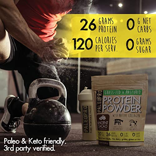 The 29 Best Paleo Protein Powder of 2024 [Verified] - Cherry Picks