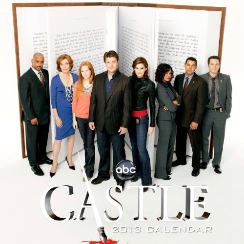 Castle Calendar : Amazon.in: Books
