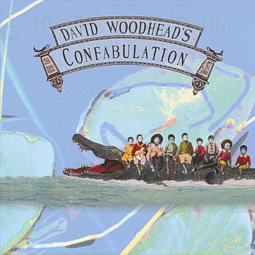 Confabulation von David Woodhead's Confabulation bei Amazon Music ...