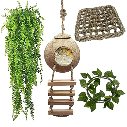 Amazon.ca Best Sellers: The most popular items in Reptiles & Amphibian ...