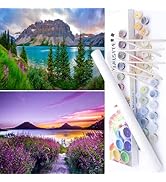 Amazon.com: BAISITE Paint by Numbers Kit for Adults Beginners,16" Wx20 ...