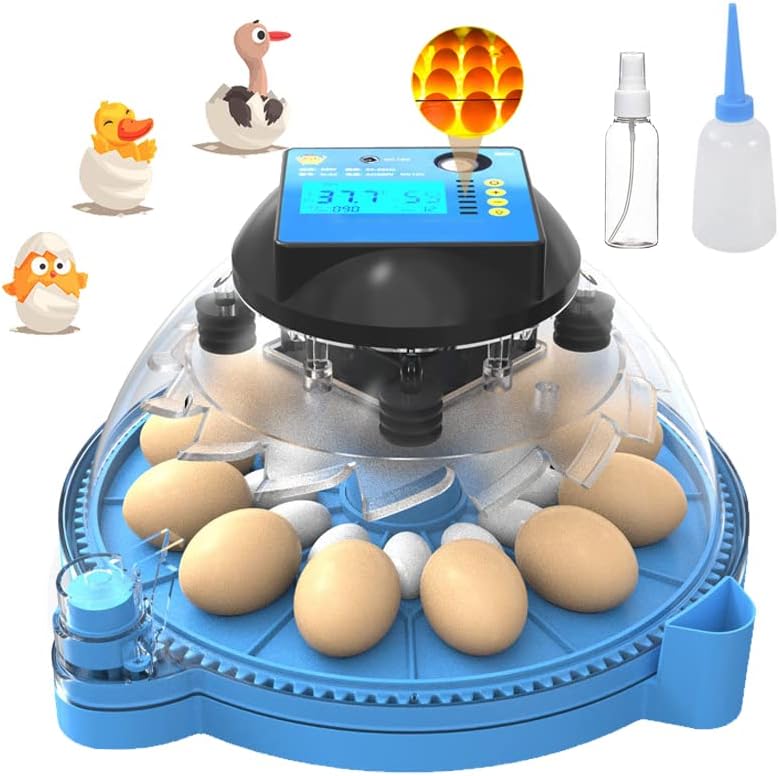 Amazon.com: Nollapo 24-12 Egg Incubator with One Bottom Light Egg ...