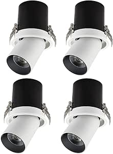 Amazon.com: ZALORD 12W, 15W Retractable LED Recessed Lighting for Shops ...