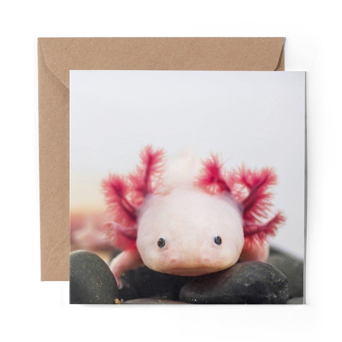 1 x Greeting Card Axolotl Aquarium Dragon Fish - Blank Birthday ...