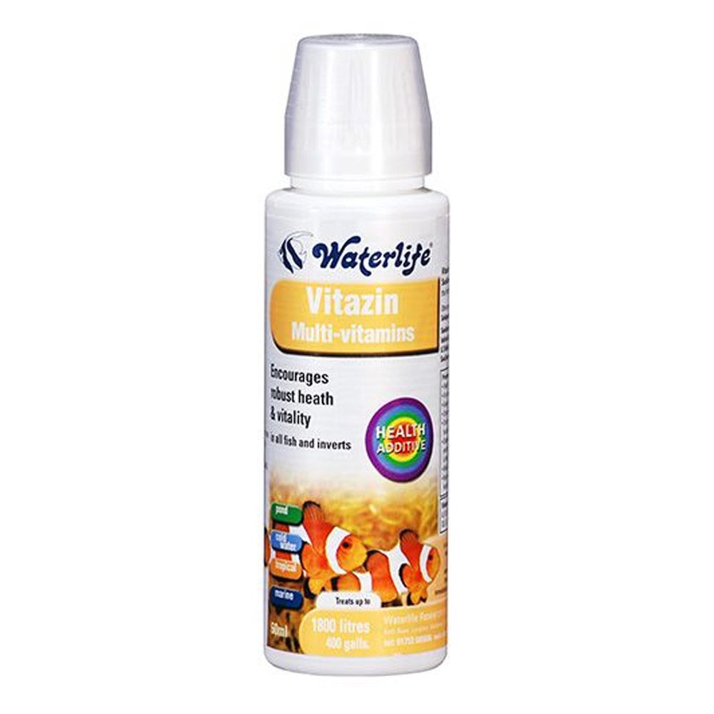 Buy Waterlife Vitazin 100ml Multi s For Aquarium Fish & Vitality Online ...
