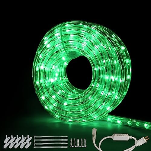 Amazon.com: beatineon 33FT Rope Lights Outdoor with Remote,Cuttable ...